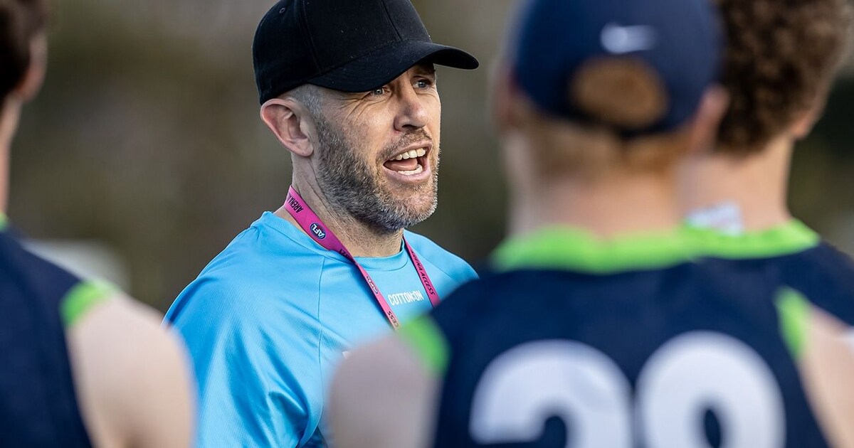 VFL Cats Hungry For New Challenge