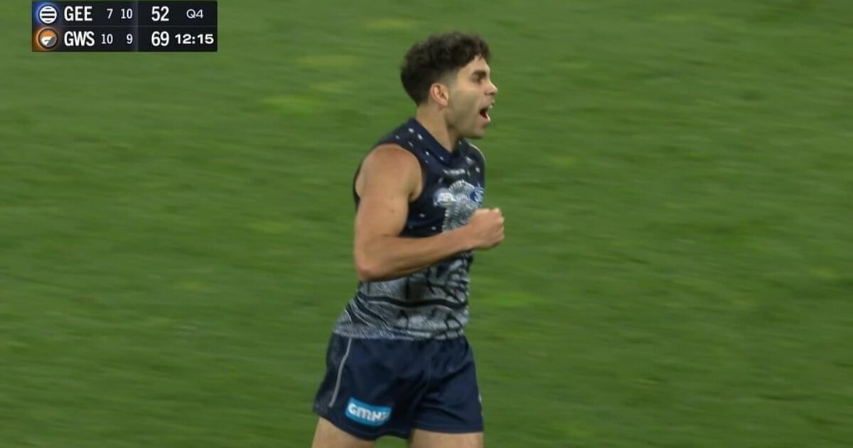 Cats Stay Alive Through Stengle Brilliance