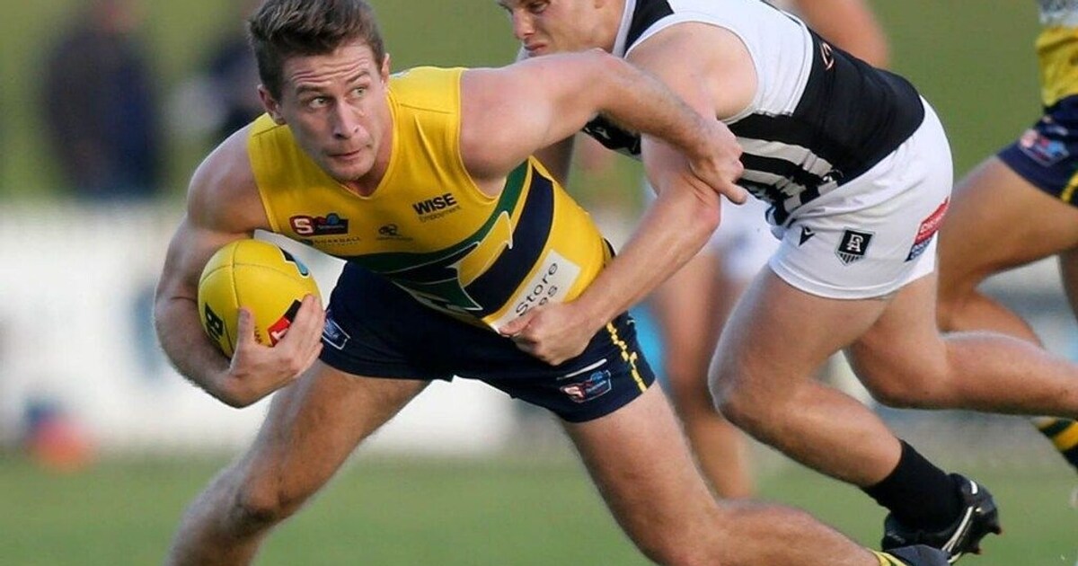 Mid Season Draftee | Mitch Hardie