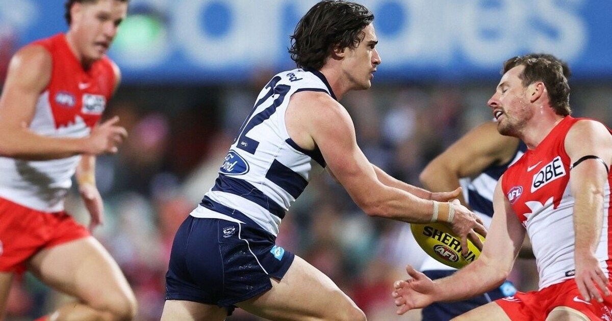 Gryan Miers Highlights | Round 16