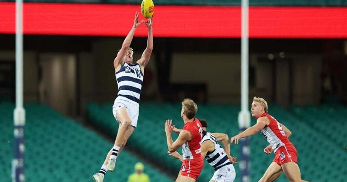 Mitch Knevitt Highlights | VFL Round 15