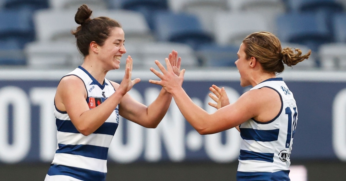 Slick Cats Put Dogs To The Sword In Impressive Season Opener