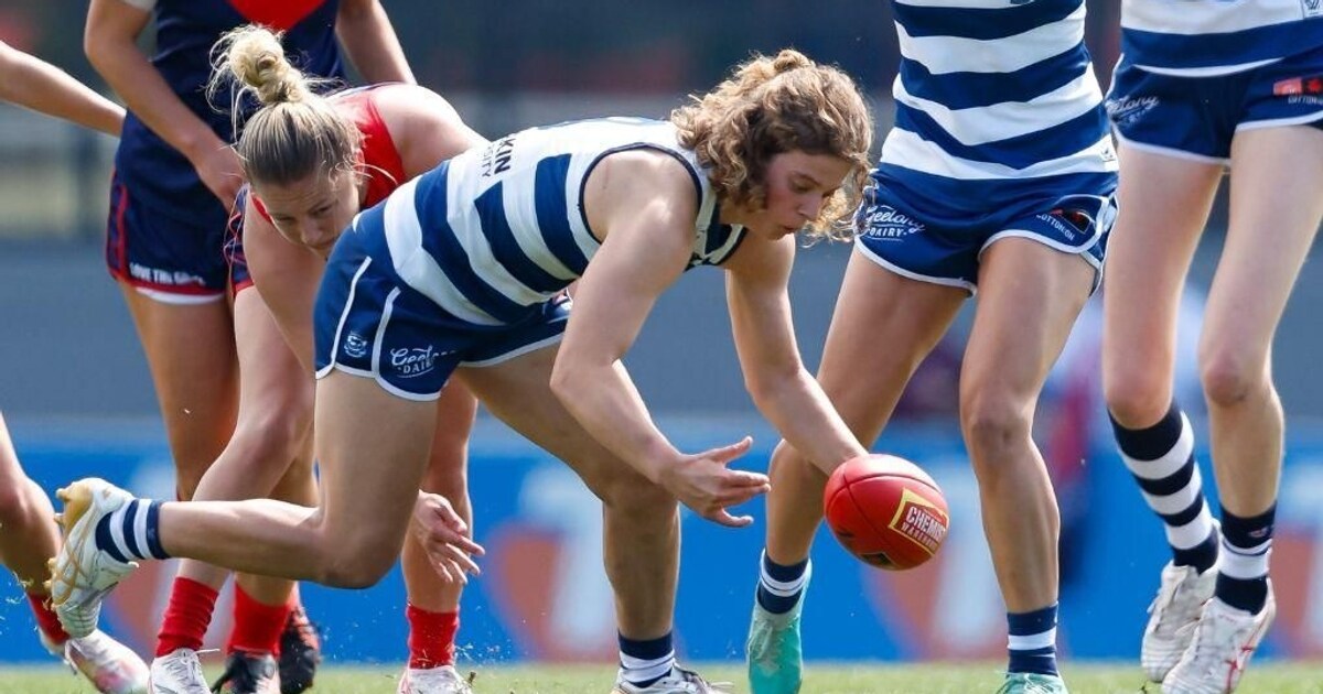 Morrison's Might And Power Wills Cats To Prelim Berth