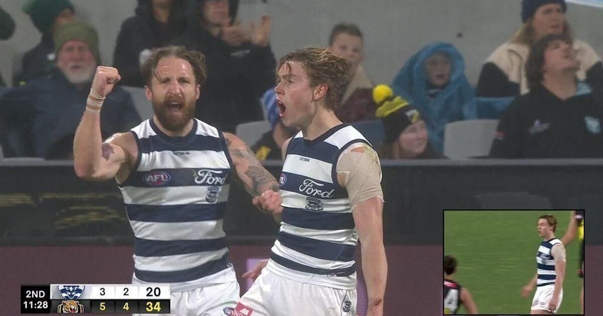 Tanner Turner Sparks Cats