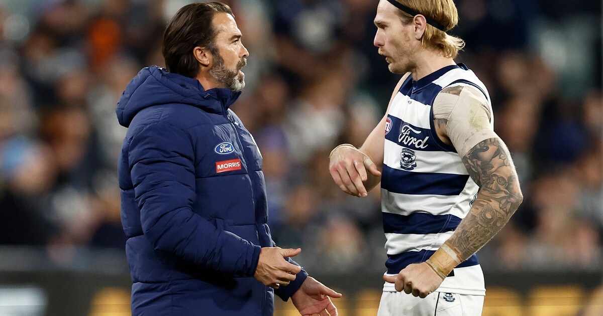 Scott and the Cats Prepared for Strong Challenge on Saturday