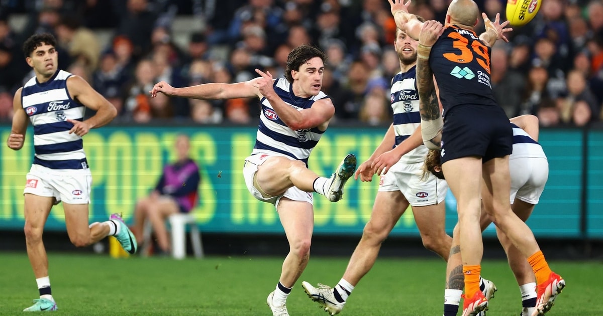 AFL Highlights | Round 15