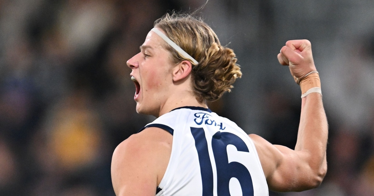 AFL Highlights | Round 17