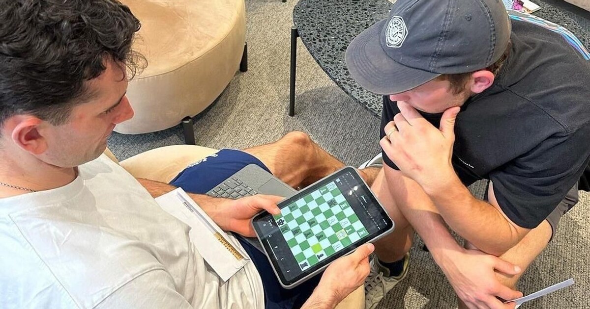 Chess mates: The unlikely love that's helping Cats bond