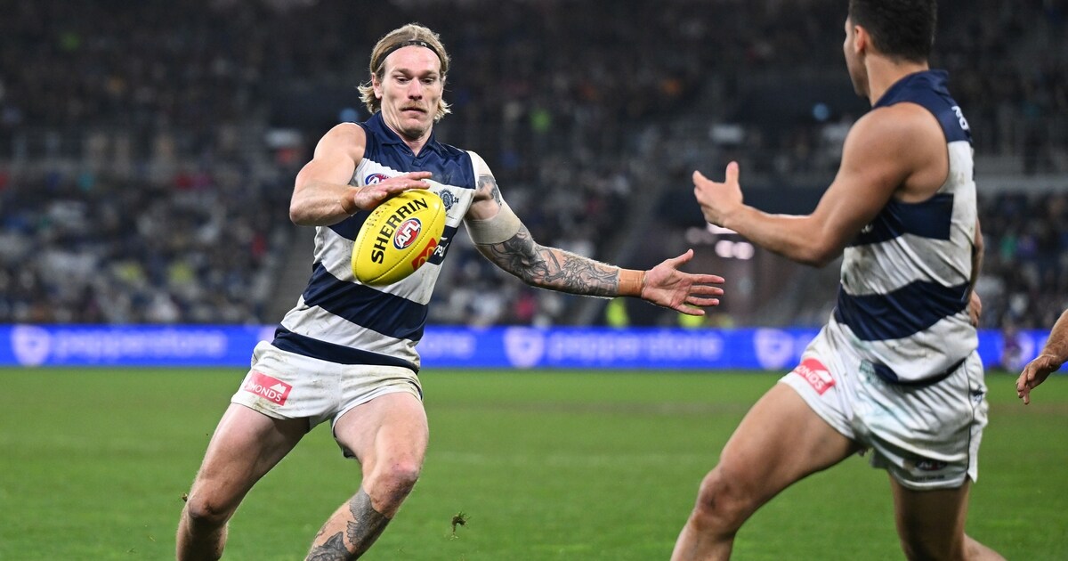 AFL Coaches Votes | Round 19