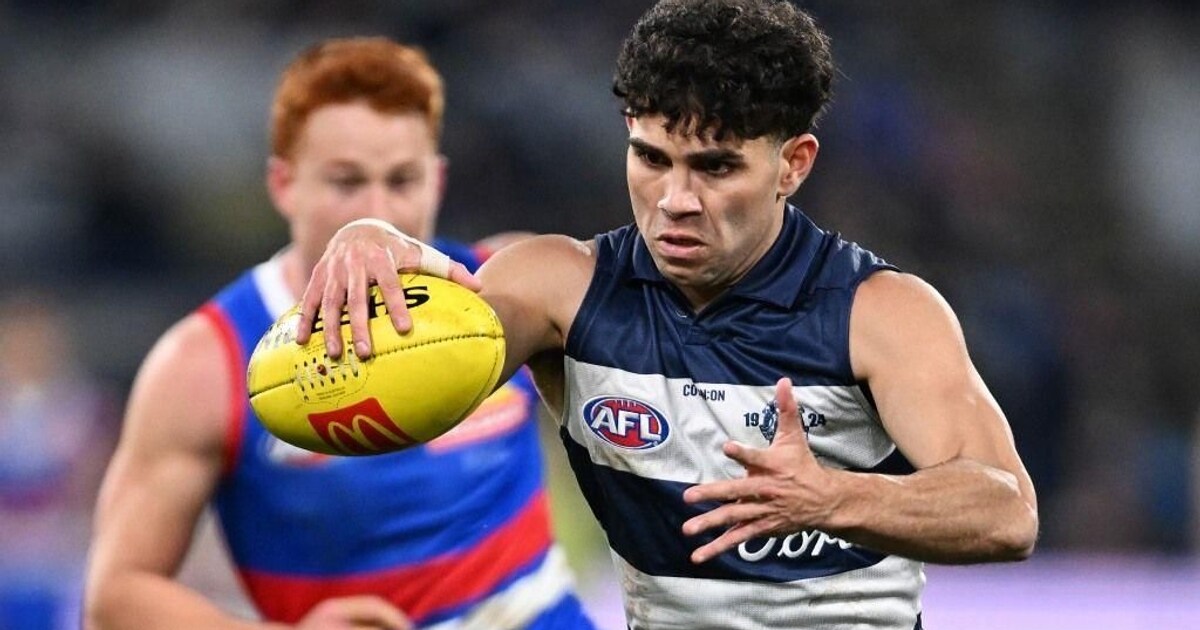 Speedy Stengle Gets Cats Off The Mark