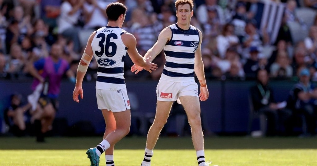 Cameron cooking up Cattery with seven before half-time