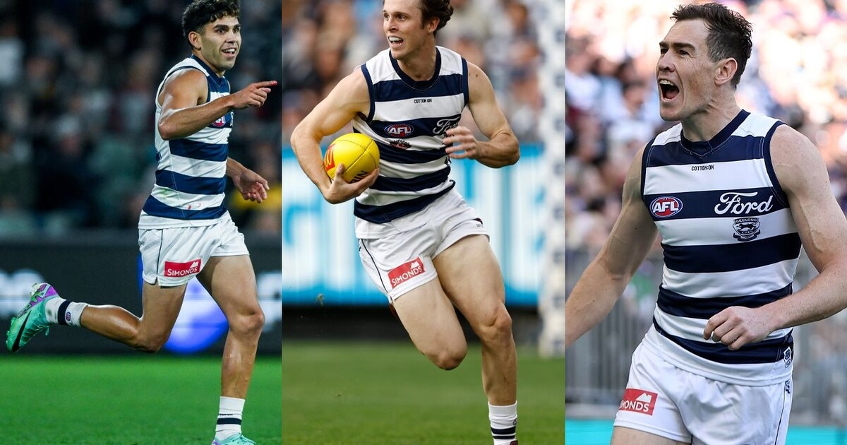 Cats AFL Awards Night Nominees Announced