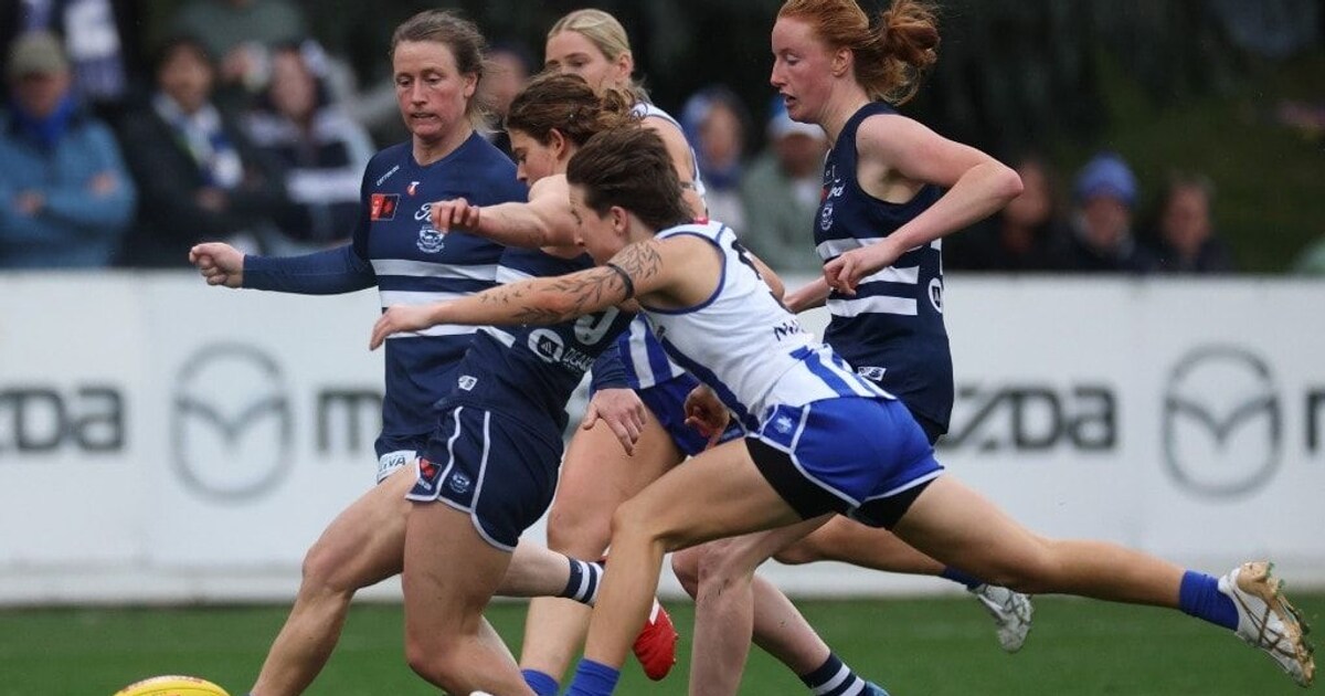 Morrison’s stunner kicks Cats in front