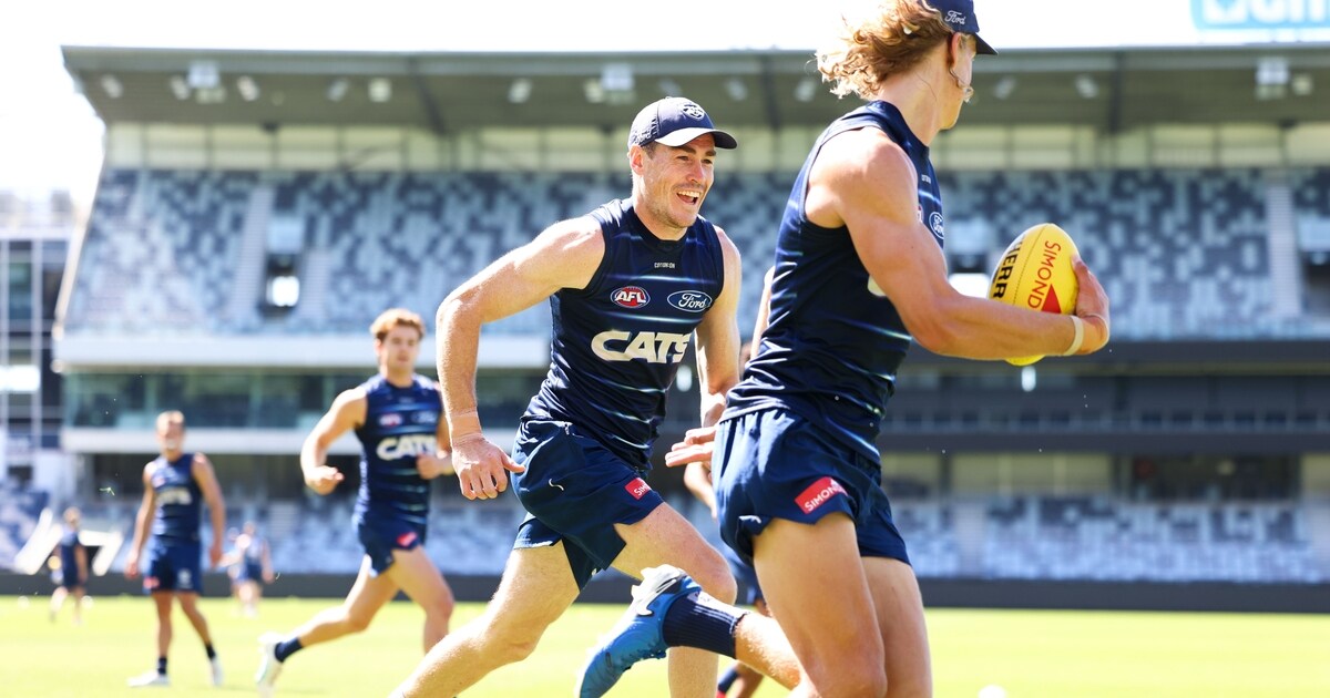 Geelong Cats Photo Galleries